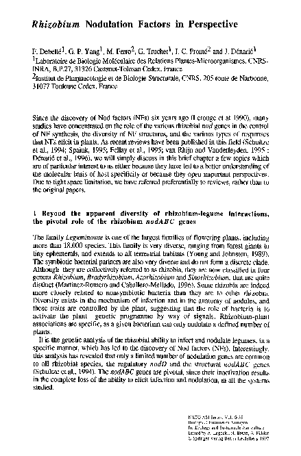 (PDF) Rhizobium Nodulation Factors in Perspective