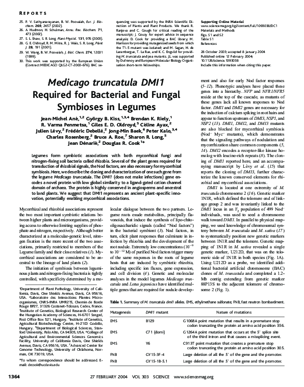 (PDF) Medicago truncatula DMI1 Required for Bacterial and Fungal Symbioses in Legumes