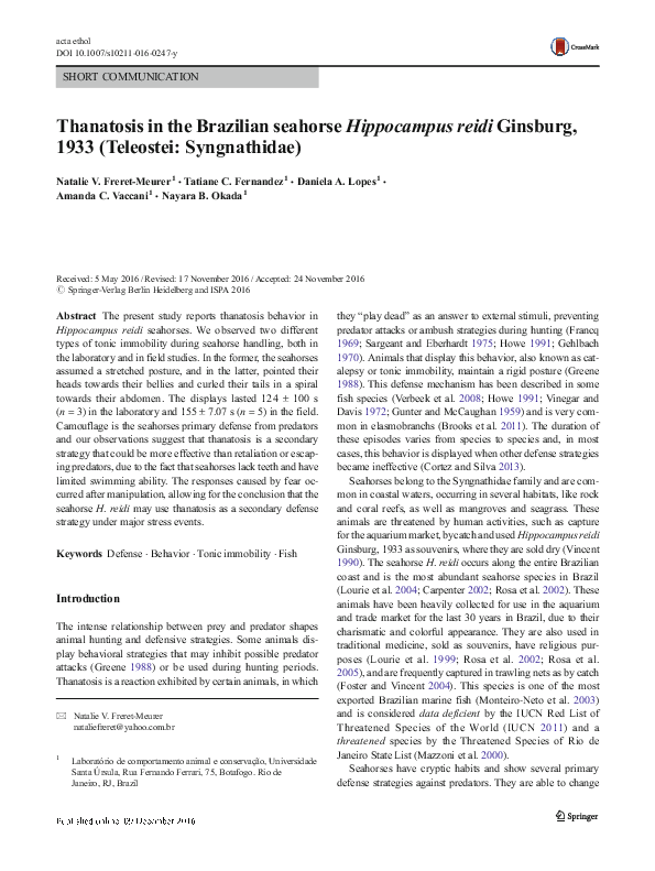 (PDF) Thanatosis in the Brazilian seahorse Hippocampus reidi Ginsburg ...