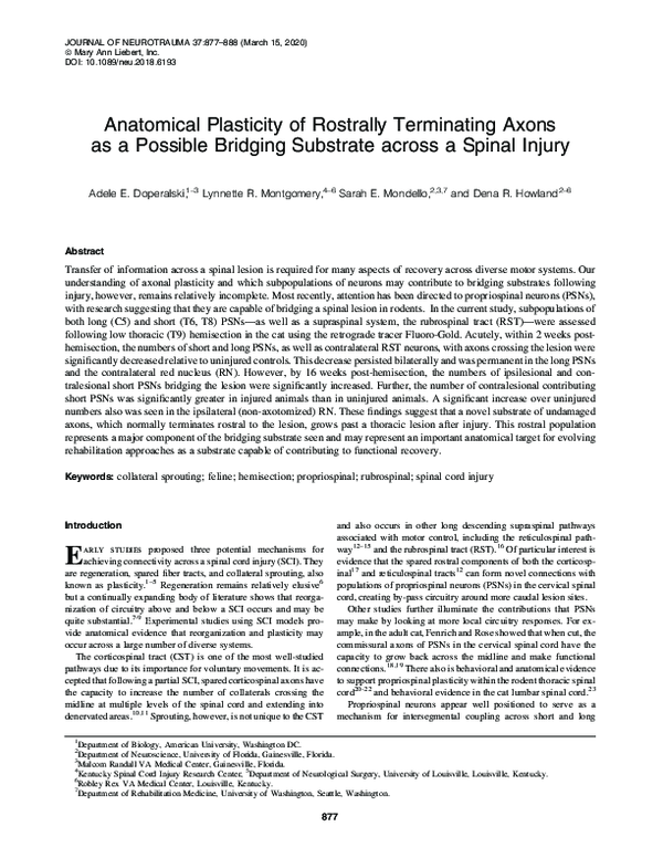 (PDF) Anatomical Plasticity of Rostrally Terminating Axons as a ...