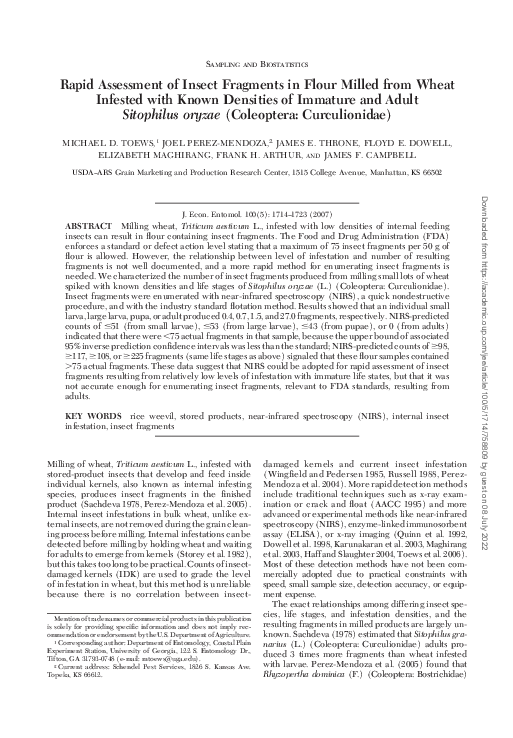 (PDF) Rapid Assessment of Insect Fragments in Flour Milled from Wheat ...