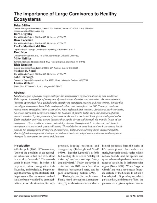 (PDF) The Importance of Large Carnivores to Healthy Ecosystems