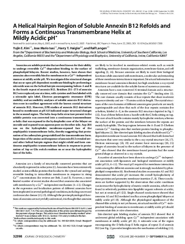 (PDF) A Helical Hairpin Region of Soluble Annexin B12 Refolds and Forms ...