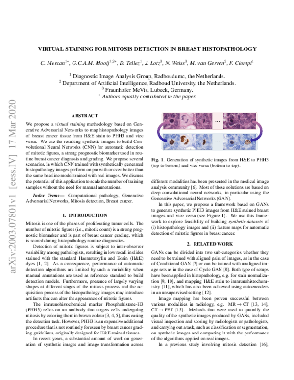Pdf Virtual Staining For Mitosis Detection In Breast Histopathology