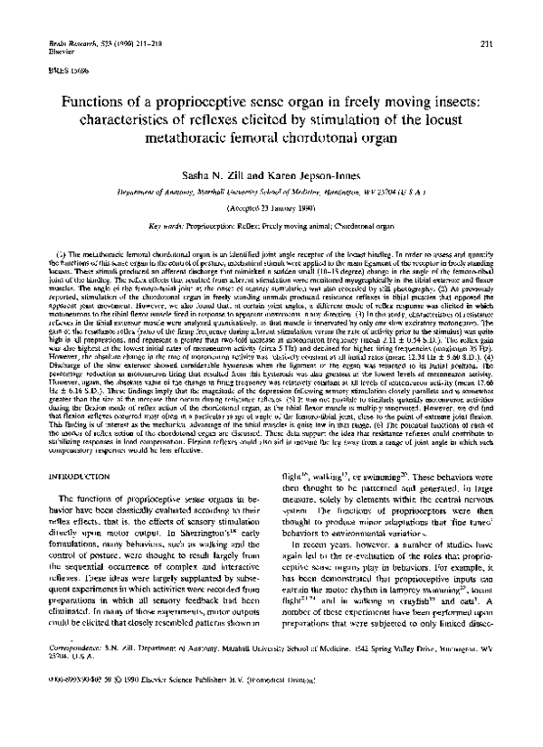 (PDF) Functions of a proprioceptive sense organ in freely moving ...