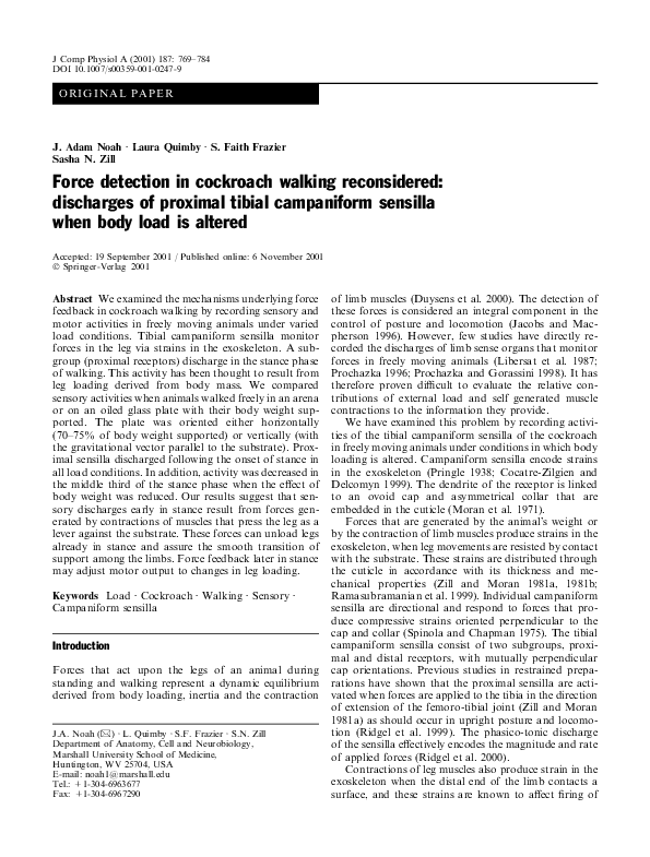 (PDF) Force detection in cockroach walking reconsidered: discharges of ...