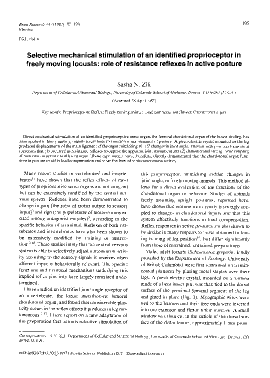 (PDF) Selective mechanical stimulation of an identified proprioceptor ... (PDF) Selective mechanical stimulation of an identified proprioceptor ...