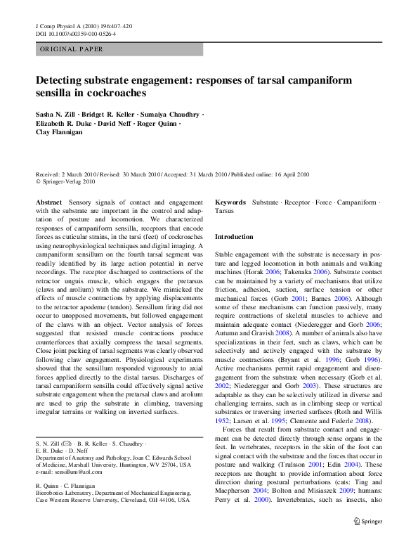 (PDF) Detecting substrate engagement: responses of tarsal campaniform ...