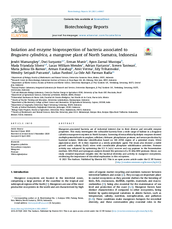 (PDF) Isolation and enzyme bioprospection of bacteria associated to ...