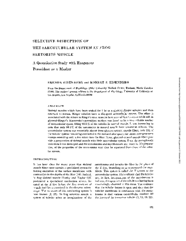 (PDF) Selective Disruption of the Sarcotubular System in Frog Sartorius ...