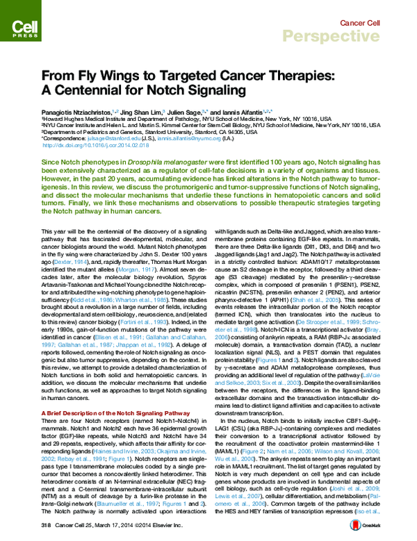 (PDF) From Fly Wings to Targeted Cancer Therapies: A Centennial for ...