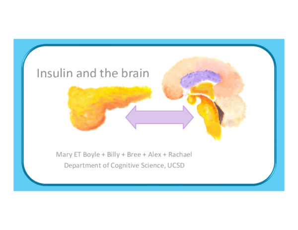 (PDF) Insulin and the brain