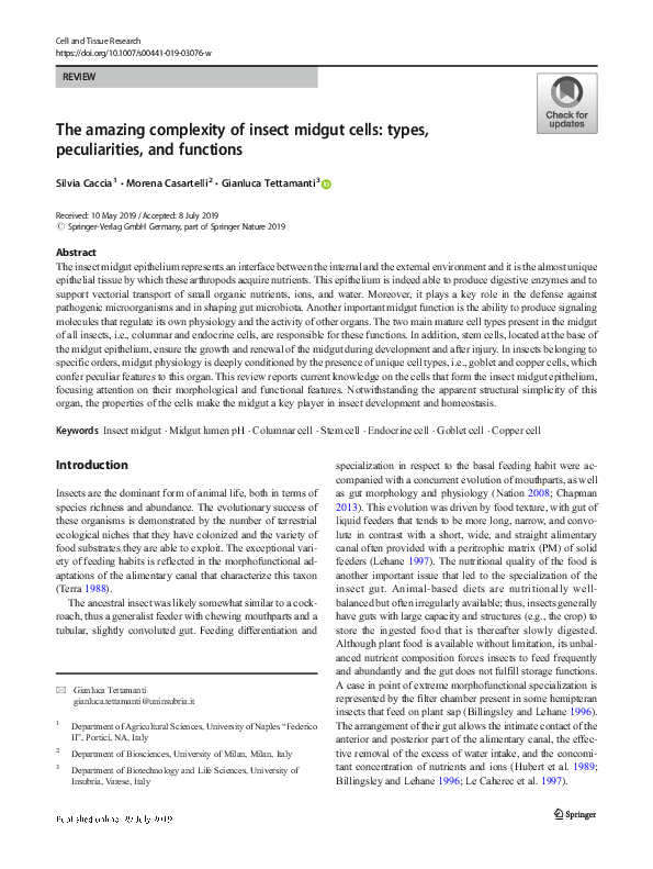 Pdf The Amazing Complexity Of Insect Midgut Cells Types Peculiarities And Functions