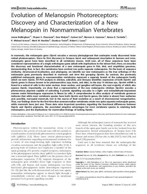 (PDF) Evolution of Melanopsin Photoreceptors: Discovery and ...
