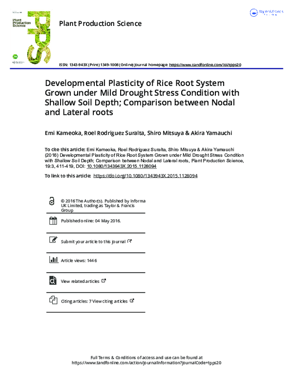 (PDF) Developmental Plasticity of Rice Root System Grown under Mild ... (PDF) Developmental Plasticity of Rice Root System Grown under Mild ...