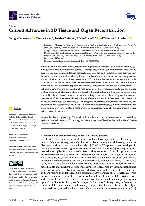 (PDF) Current Advances in 3D Tissue and Organ Reconstruction
