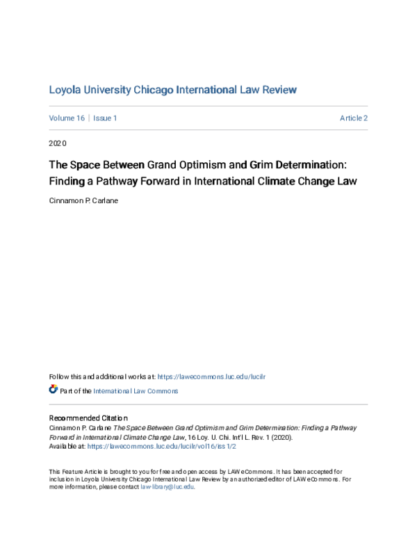 (PDF) The Space Between Grand Optimism and Grim Determination: Finding ...