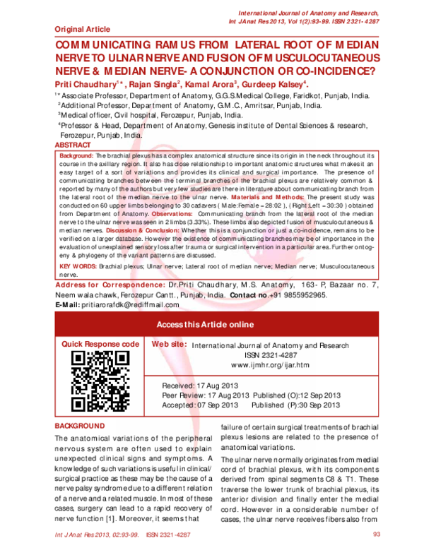 (PDF) Communicating Ramus from Lateral Root of Median Nerve to Ulnar ...