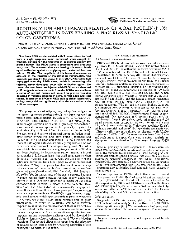 (PDF) Identification and characterization of a rat protein (P 105) auto ...