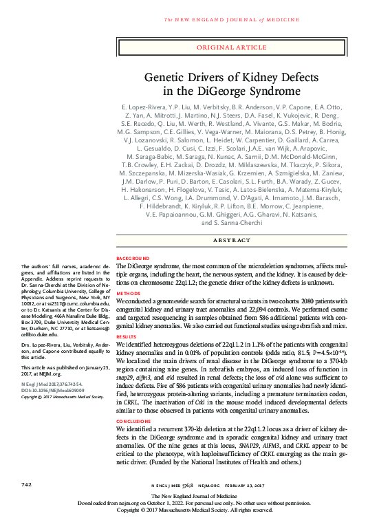 (PDF) Genetic Drivers of Kidney Defects in the DiGeorge Syndrome