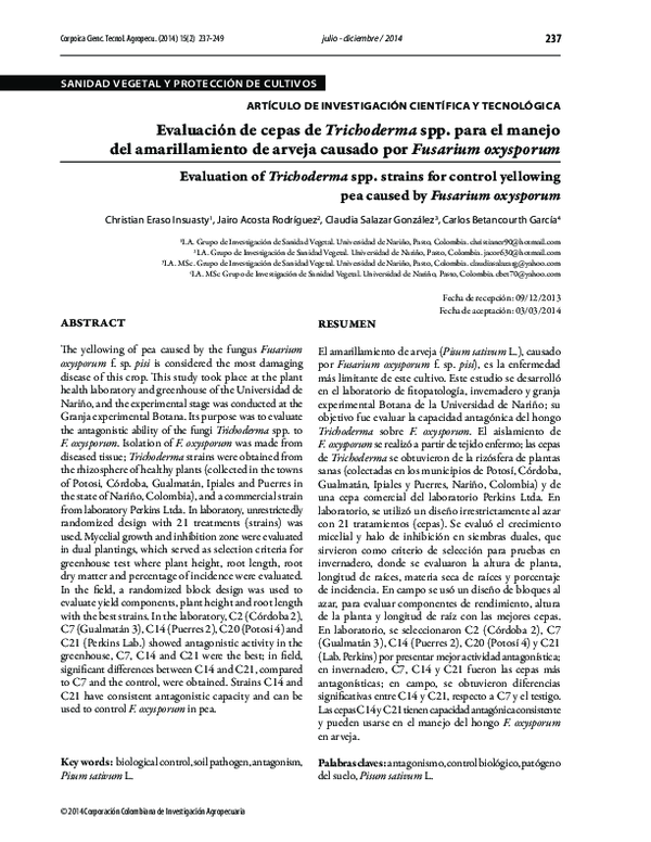 (PDF) Evaluación de cepas de Trichoderma spp. para el manejo del amarillamiento de arveja ...