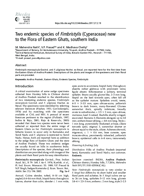 (PDF) Two endemic species of Fimbristylis (Cyperaceae) new to the Flora ...