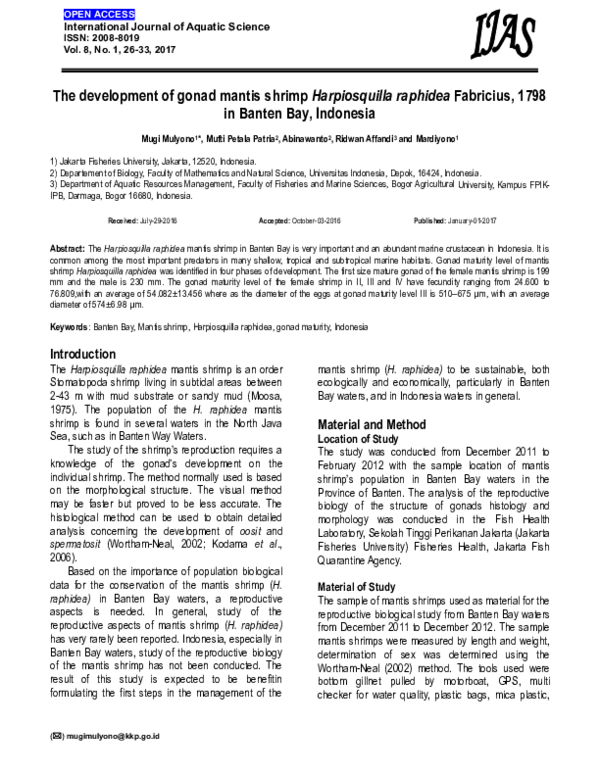(PDF) The development of gonad mantis shrimp Harpiosquilla raphidea ...