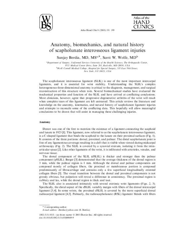 Anatomy, biomechanics, and natural history of scapholunate interosseous ...