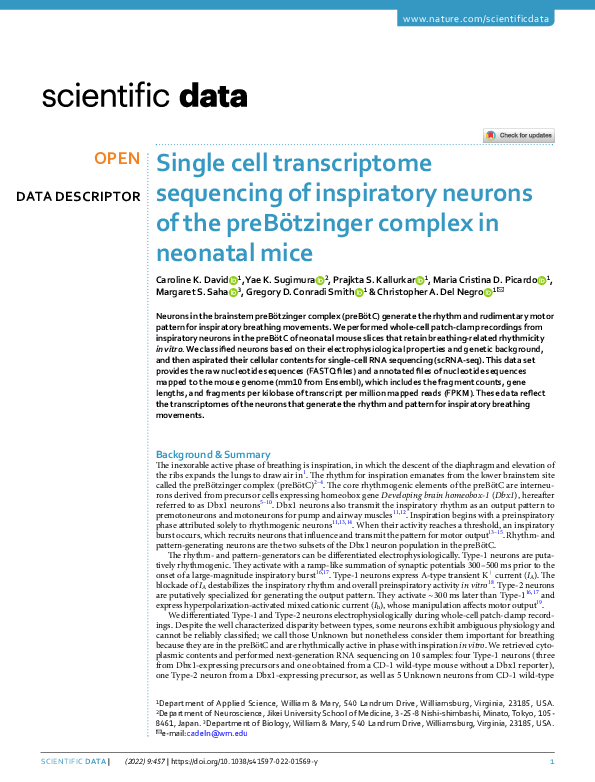 (PDF) Single cell transcriptome sequencing of inspiratory neurons of the preBötzinger complex in ...