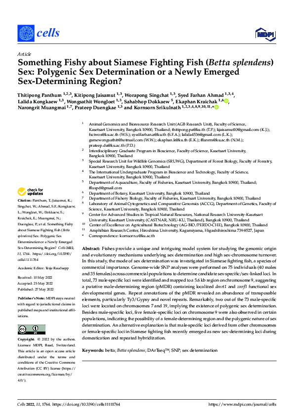 (PDF) Something Fishy about Siamese Fighting Fish (Betta splendens) Sex ...
