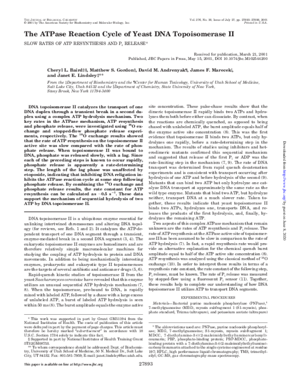 (PDF) The ATPase Reaction Cycle of Yeast DNA Topoisomerase II