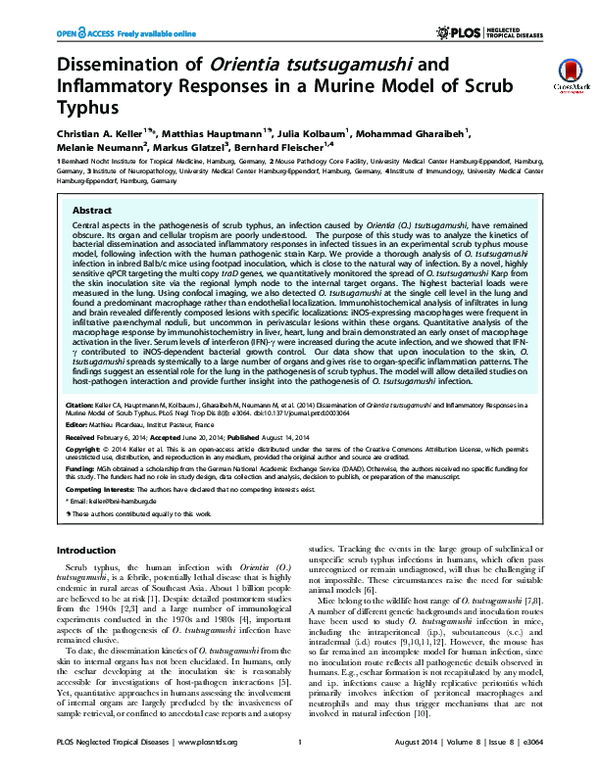 (PDF) Dissemination of Orientia tsutsugamushi and inflammatory ...