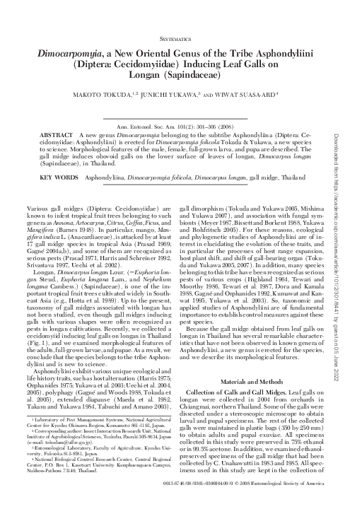 (PDF) Dimocarpomyia, a New Oriental Genus of the Tribe Asphondyliini ...