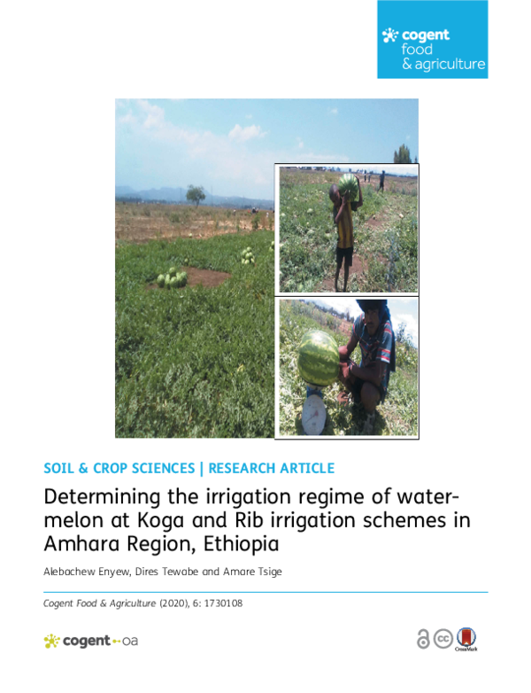 (PDF) Determining the irrigation regime of watermelon at Koga and Rib ...