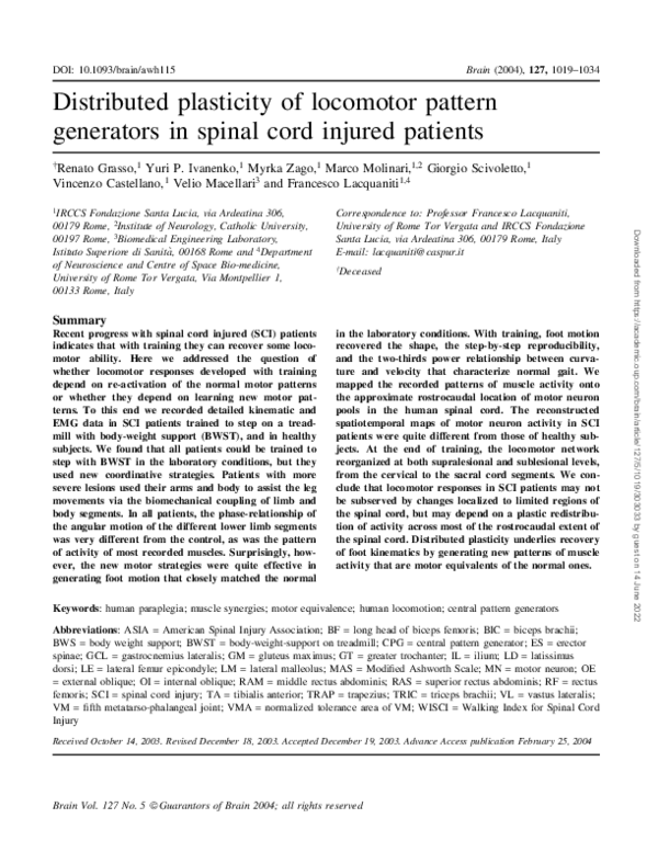 (PDF) Distributed plasticity of locomotor pattern generators in spinal ...