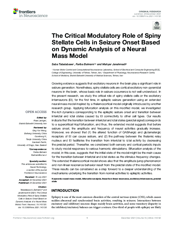 (PDF) Role of Spiny Stellate Cells in Seizure Onset Dynamics