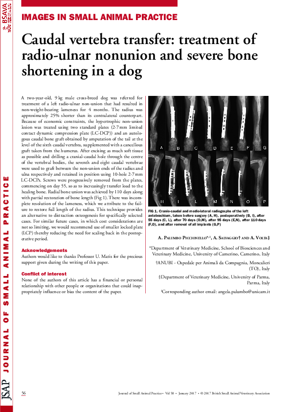 (PDF) Caudal vertebra transfer: treatment of radio-ulnar nonunion and ...