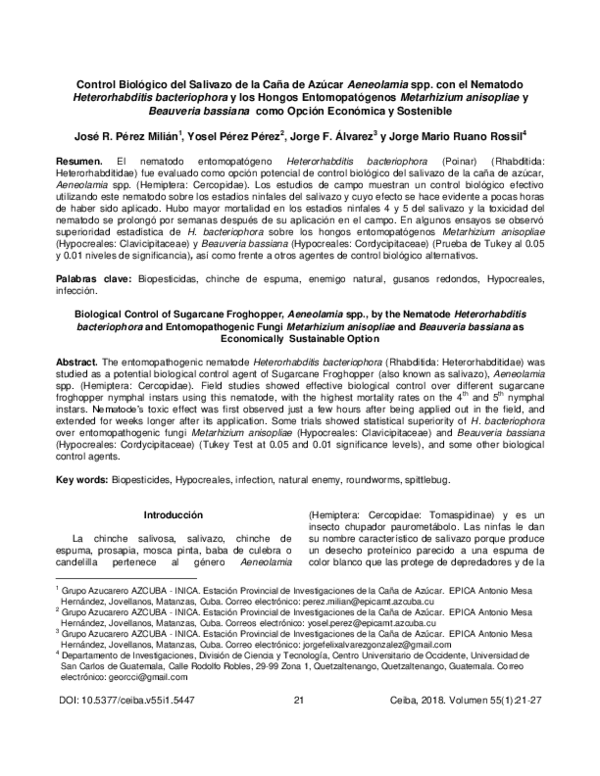 (PDF) Control Biológico del Salivazo de la Caña de Azúcar Aeneolamia sp ...