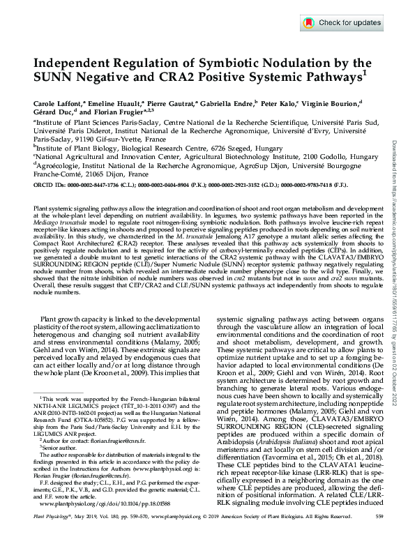 (PDF) Independent Regulation of Symbiotic Nodulation by the SUNN ...