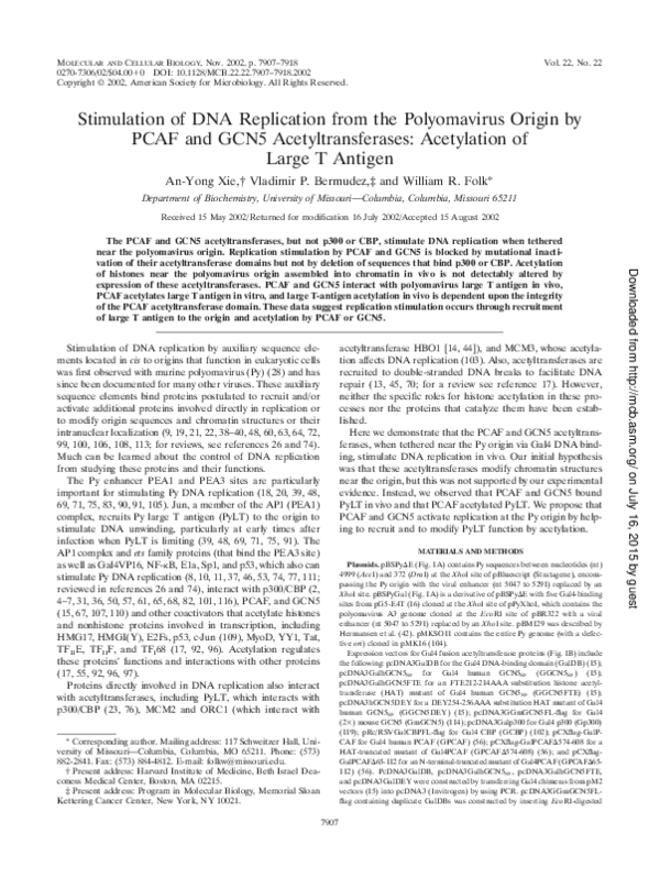 (PDF) Stimulation of DNA Replication from the Polyomavirus Origin by ...