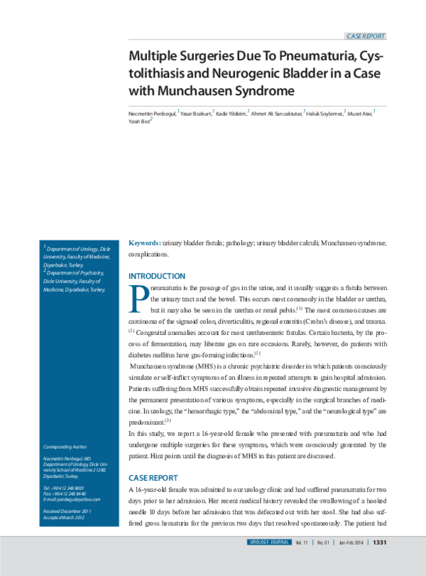 (PDF) Multiple surgeries due to pneumaturia, cystolithiasis and ...