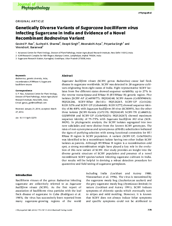 Genetically Diverse Variants of Sugarcane bacilliform virus Infecting ...