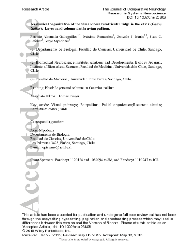 (PDF) Anatomical organization of the visual dorsal ventricular ridge in ...