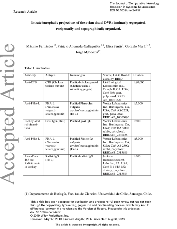 (PDF) Intratelencephalic projections of the avian visual dorsal ...