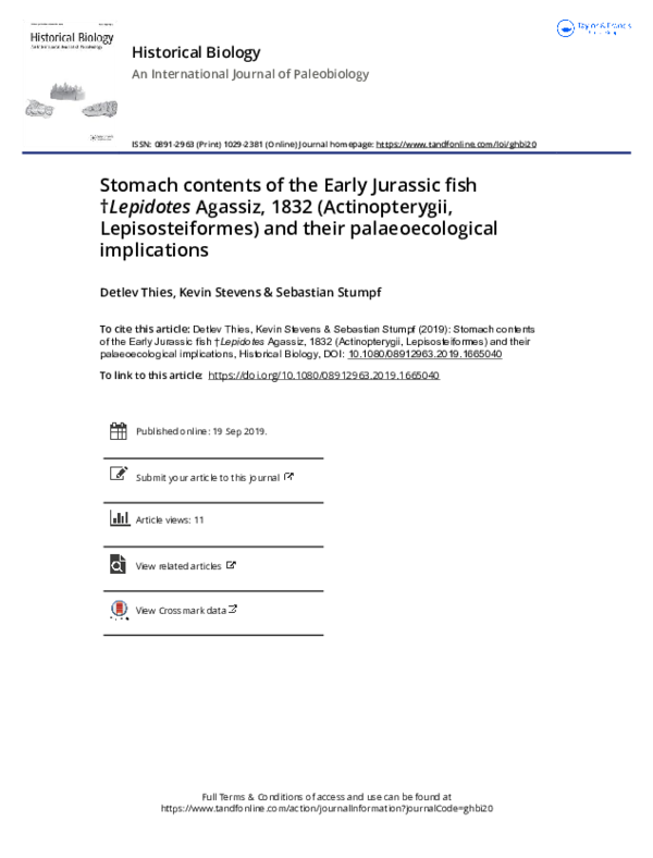 (PDF) Stomach contents of the Early Jurassic fish †Lepidotes Agassiz ...