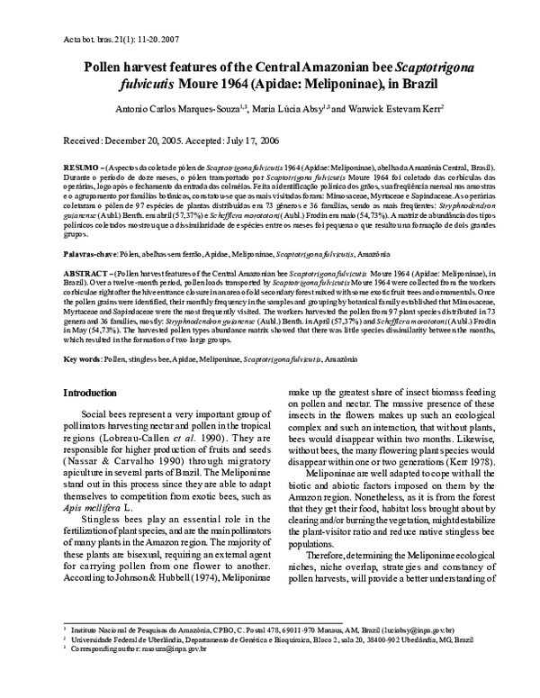(PDF) Pollen harvest features of the Central Amazonian bee ...