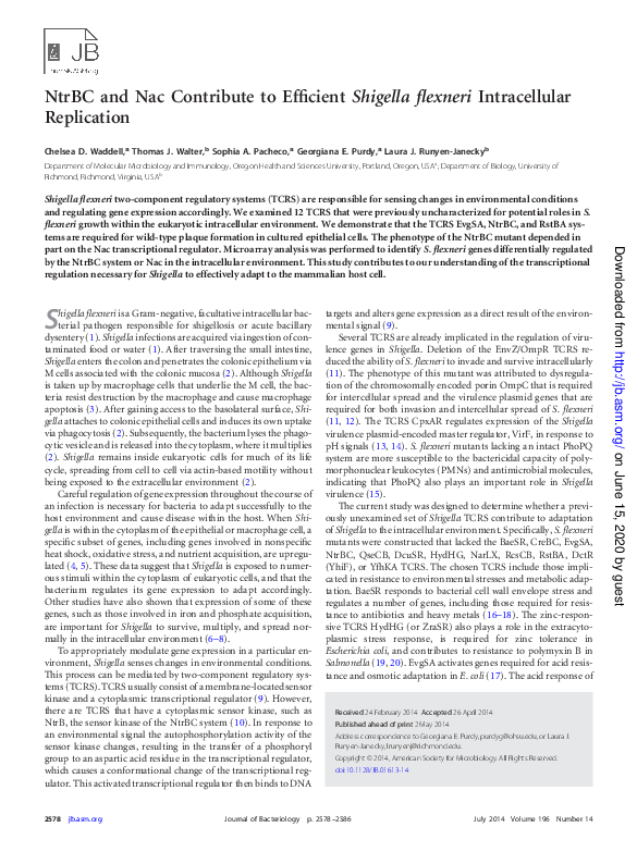 (PDF) NtrBC and Nac contribute to efficient Shigella flexneri ...