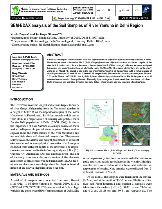 (PDF) SEM-EDAX analysis of the Soil Samples of River Yamuna in Delhi