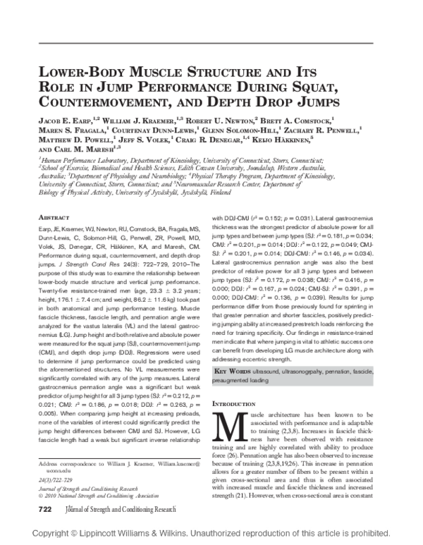(PDF) Lower-Body Muscle Structure and Its Role in Jump Performance ...