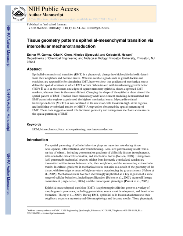 (PDF) Tissue geometry patterns epithelial-mesenchymal transition via intercellular ...